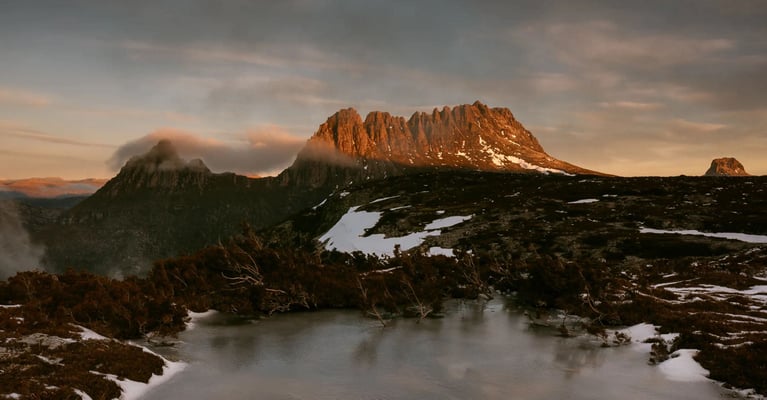 ARC | Event Information